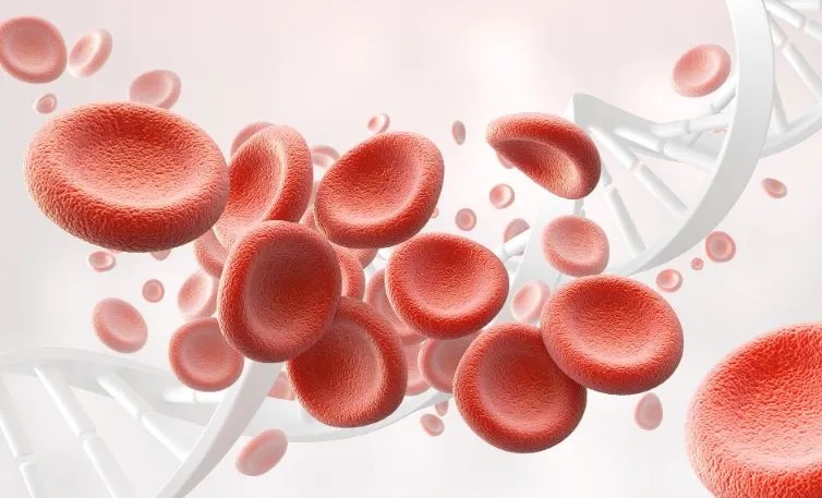 rbc در آزمایش خون - آزمایشگاه تاو